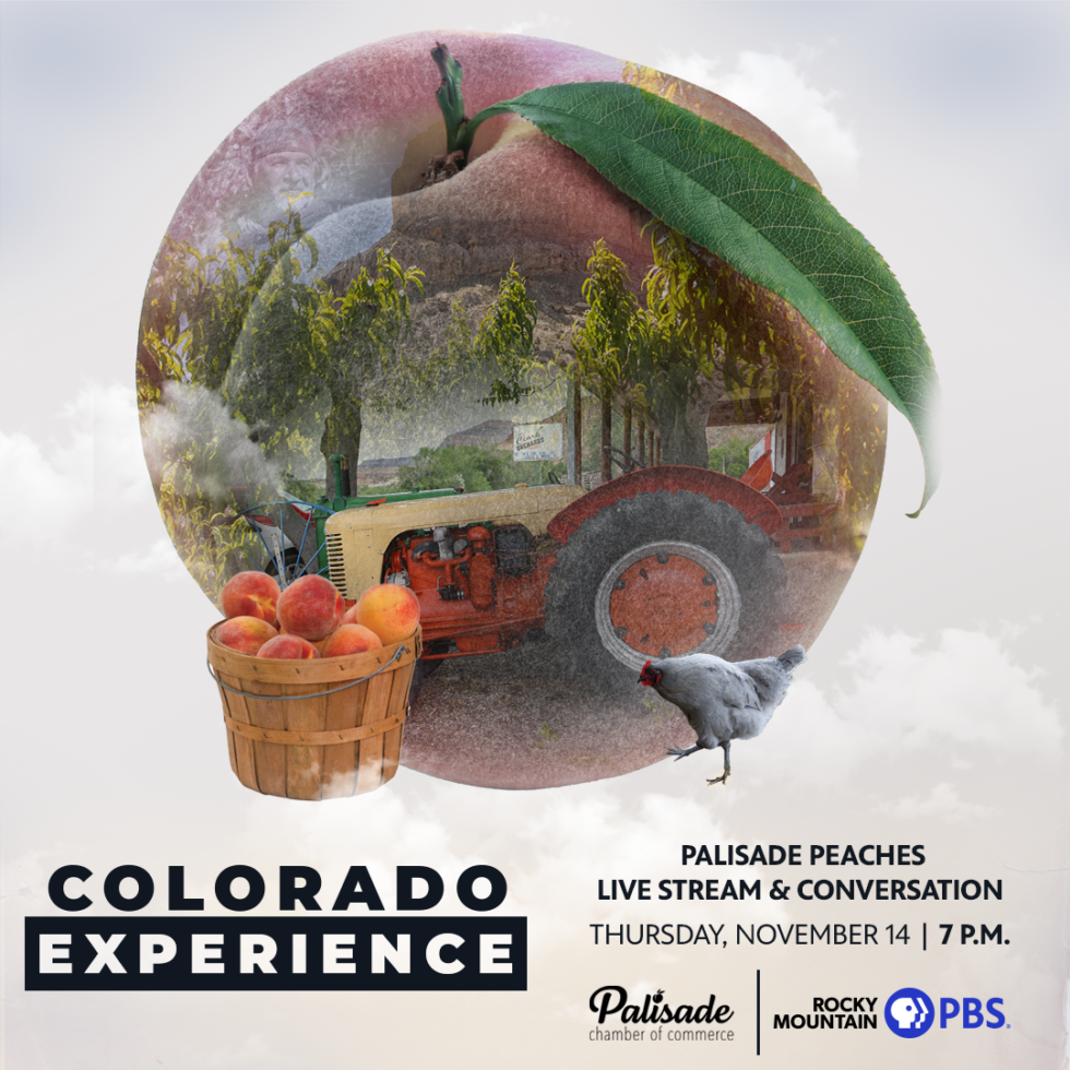 57th Annual Palisade Peach Festival | Palisade Chamber of Commerce